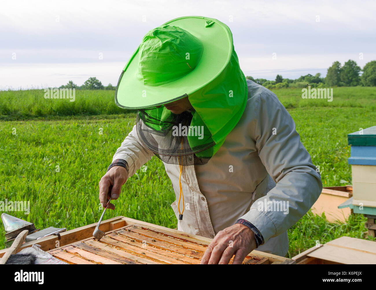 Work of beekeeper outside in a summer Stock Photo - Alamy