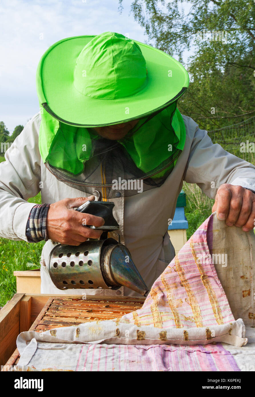 Work of beekeeper outside in a summer Stock Photo - Alamy