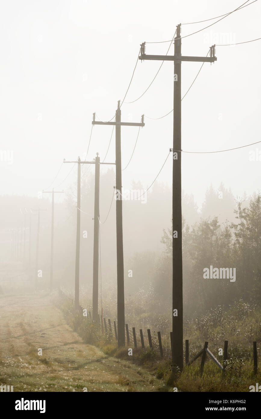 Wooden power pole power lines hi-res stock photography and images - Alamy