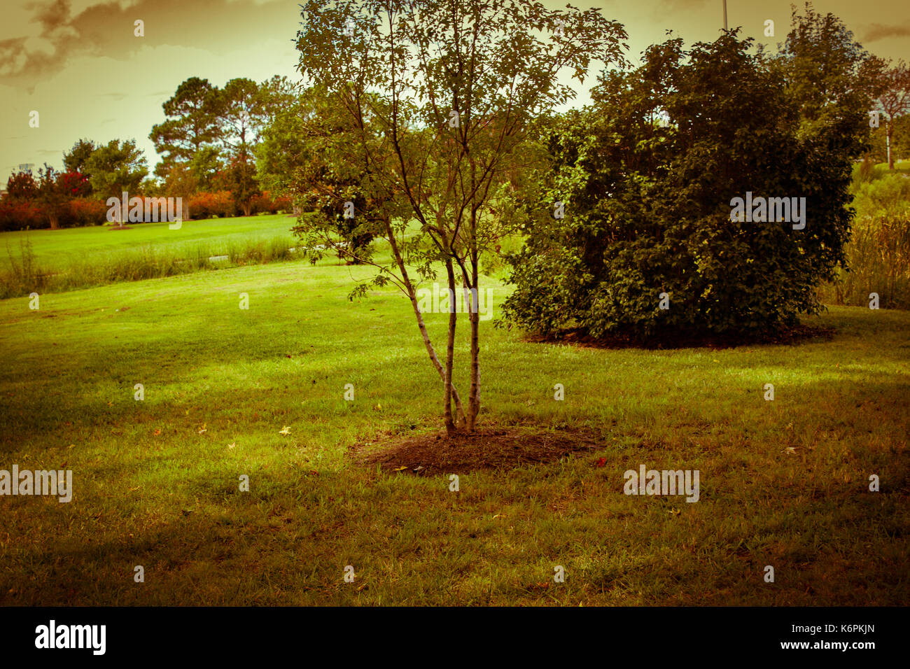 Flat land lands hi-res stock photography and images - Alamy