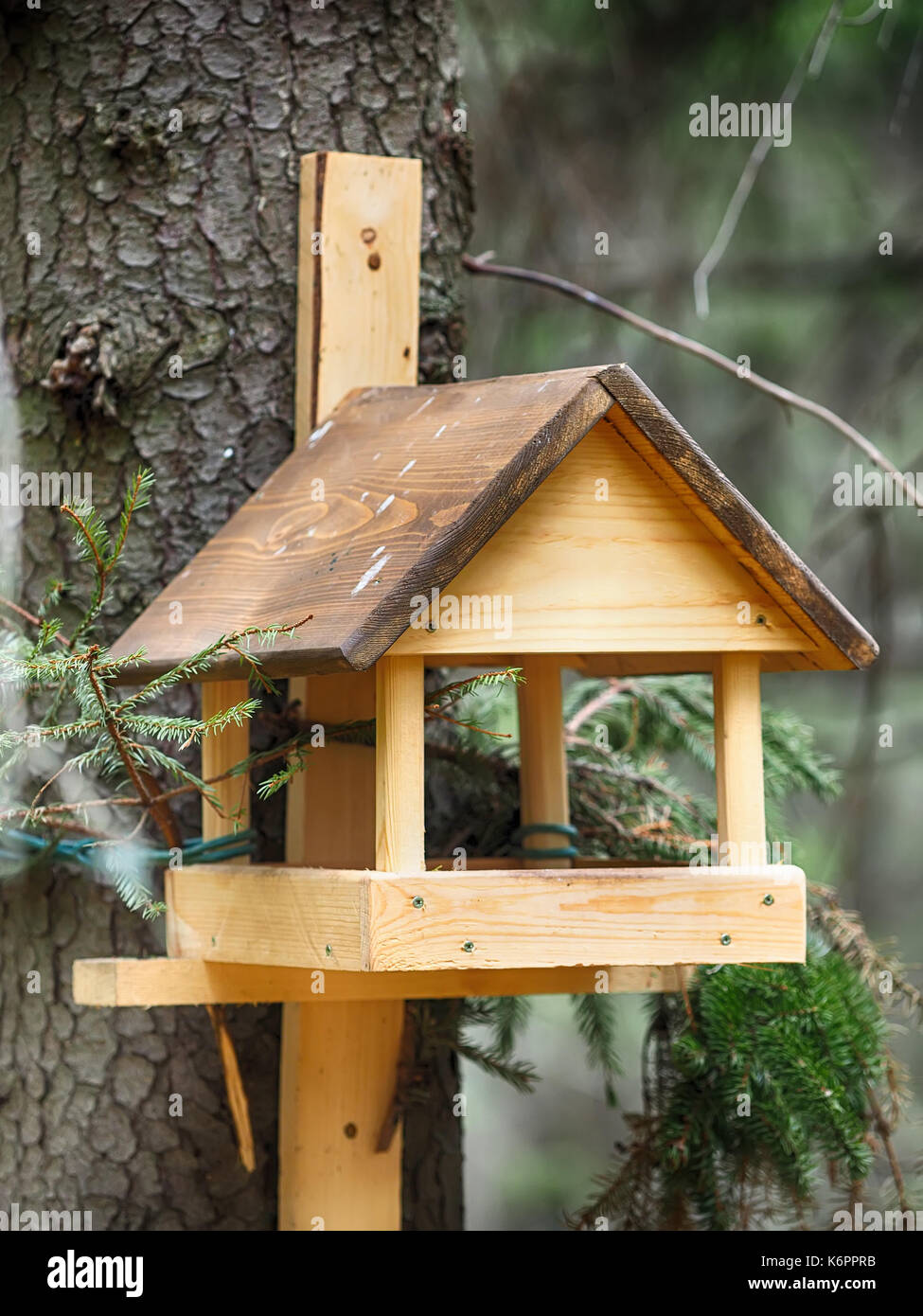 wooden trough in the forest Stock Photo - Alamy