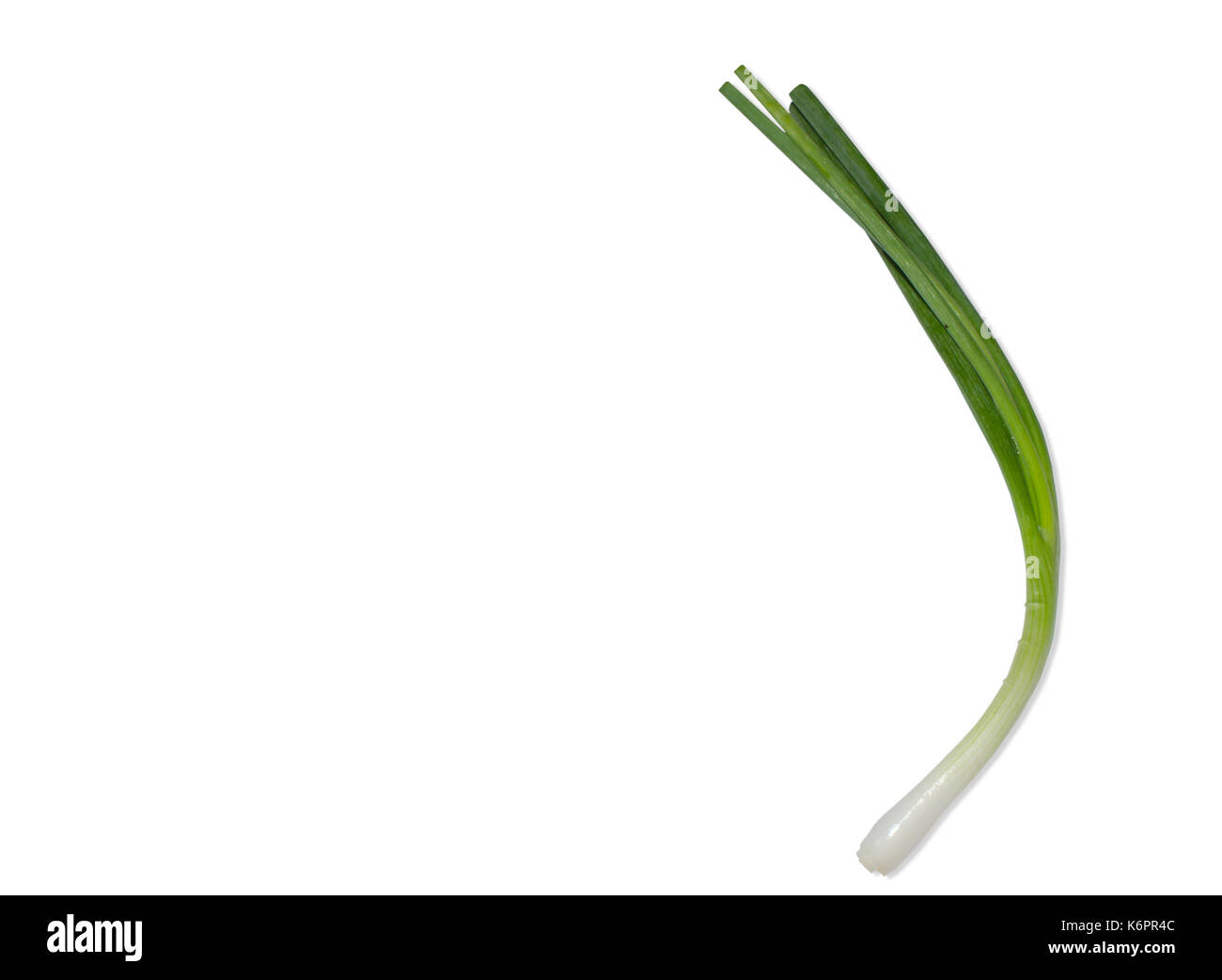 spring onion Isolated on White Background Stock Photo - Alamy