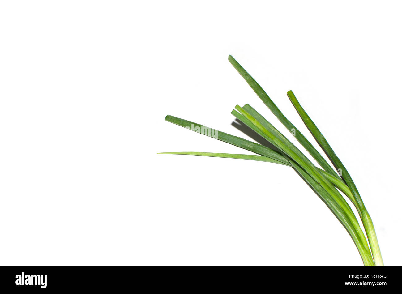 spring onion Isolated on White Background Stock Photo - Alamy
