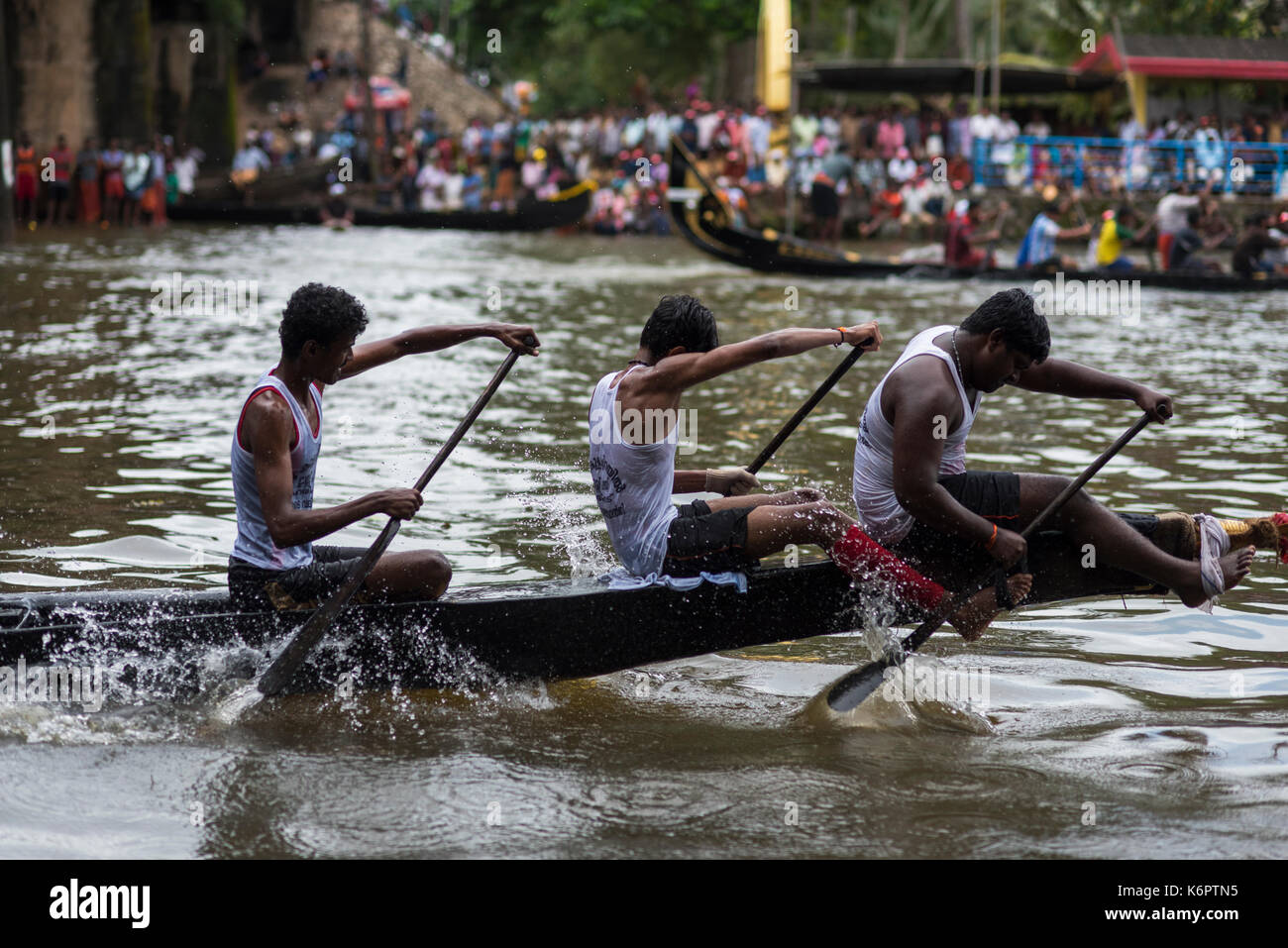 Closeup of the oarsmen in the heat of the race Stock Photo - Alamy