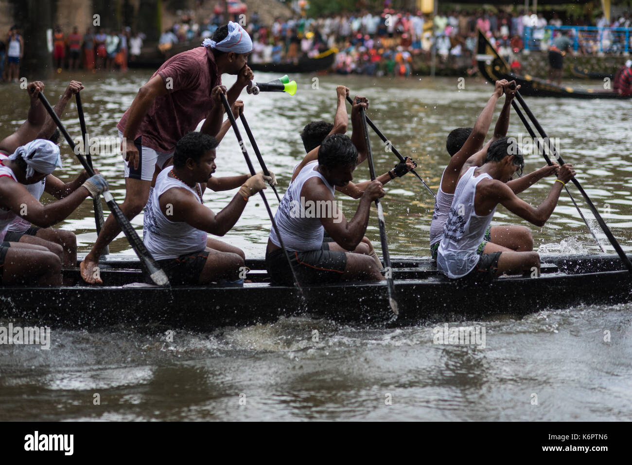 Oarsmen rowing in snake boats hi-res stock photography and images - Alamy