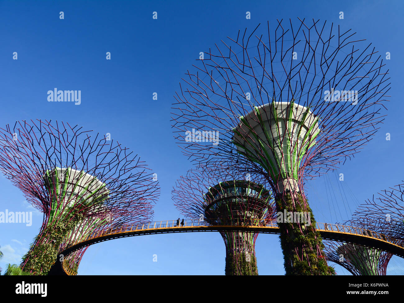 Singapore - Mar 12, 2016. View of Supertree Grove in Singapore. The ...