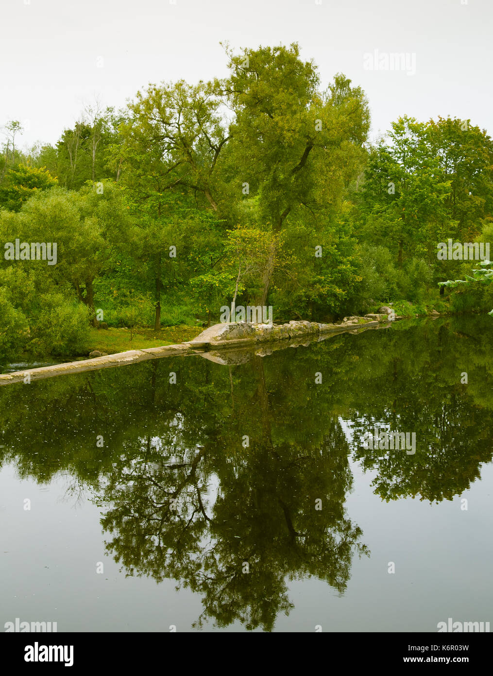 A beautiful reflected landscape of a forest near the river. Green ...