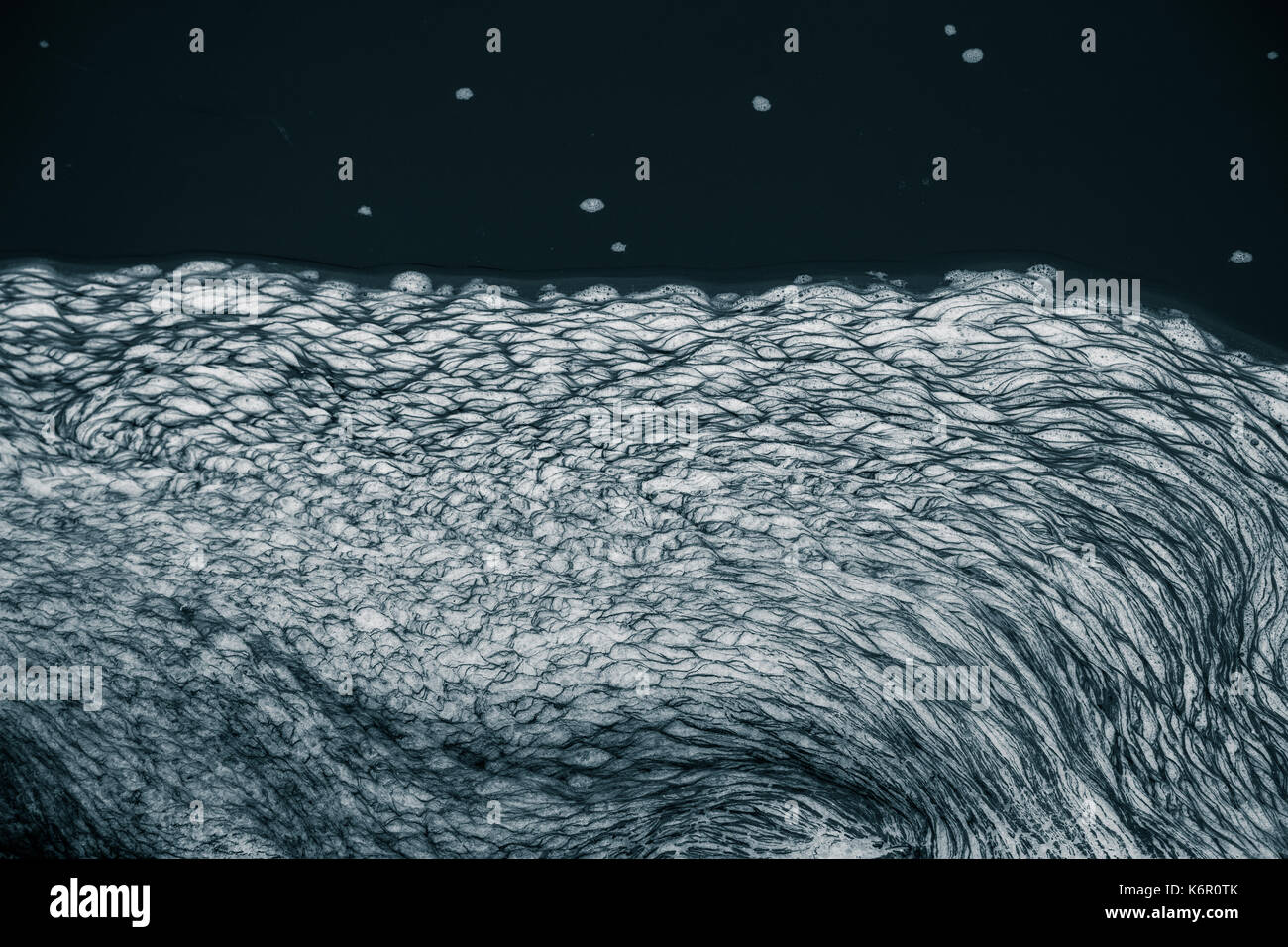 An abstract pattern of a foam forming in the river. Beautiful abstract ...