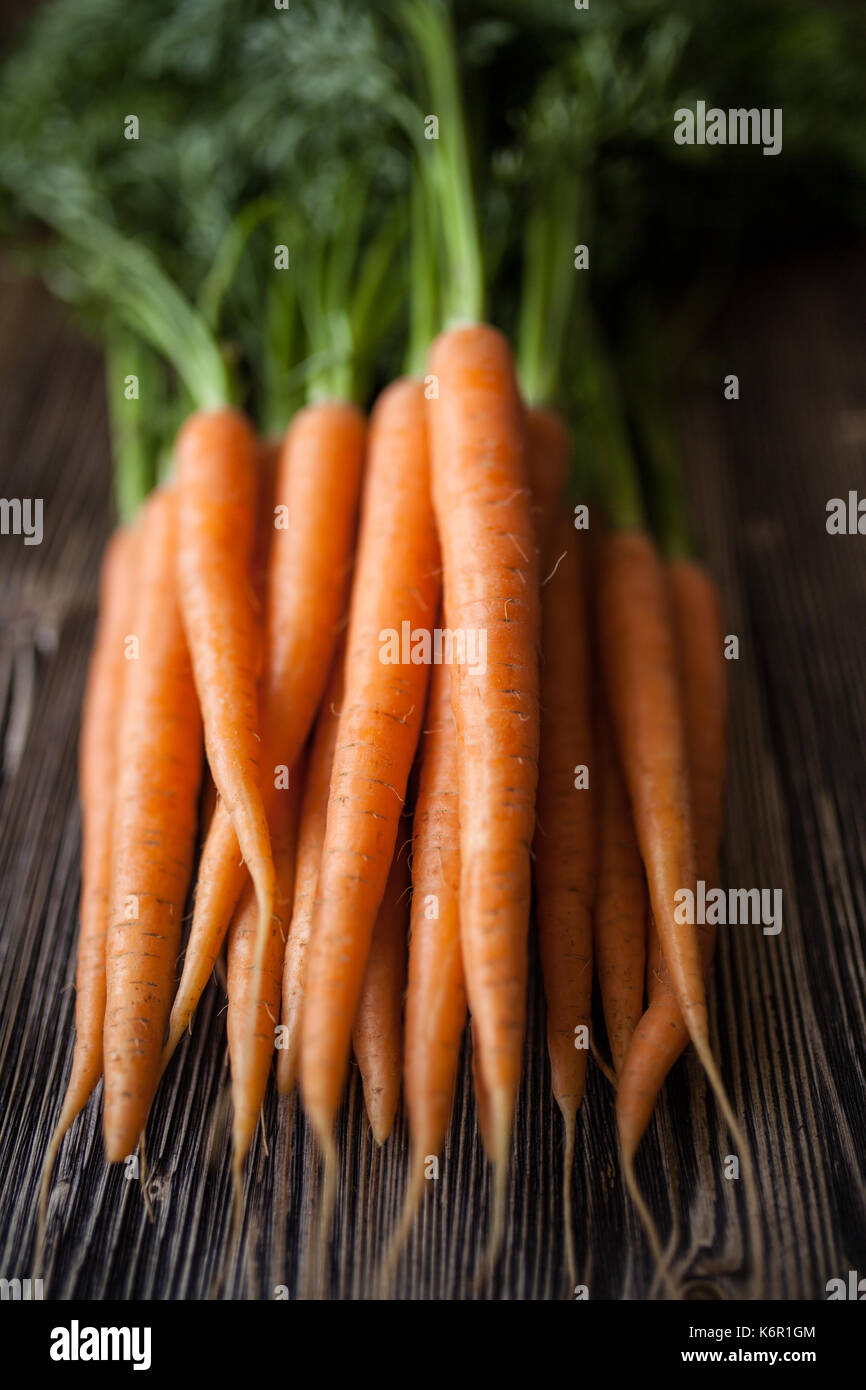 Many bunch hi-res stock photography and images - Alamy