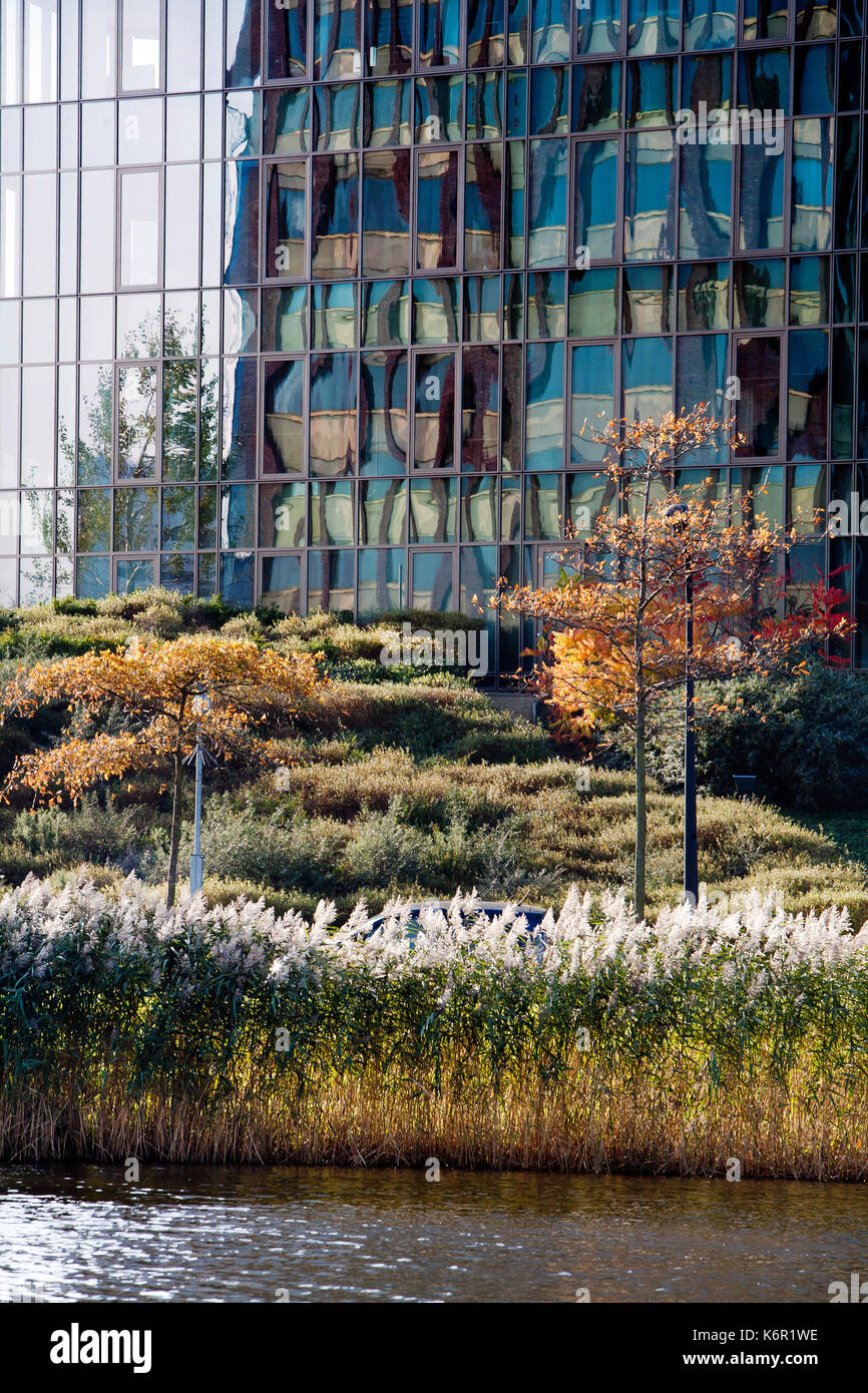 Trees in front office building hi-res stock photography and images - Alamy