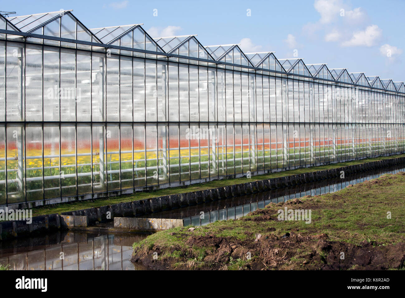 Traditional greenhouse hi-res stock photography and images - Alamy