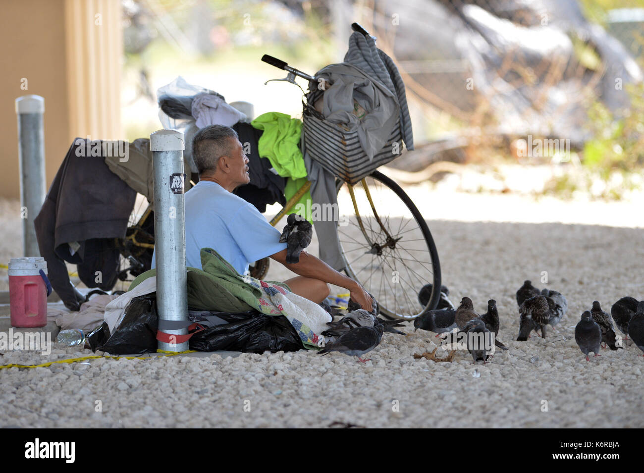 Miami Beach, FL, USA. 13th Sep, 2017. (EXCLUSIVE COVERAGE) ***NO NY ...