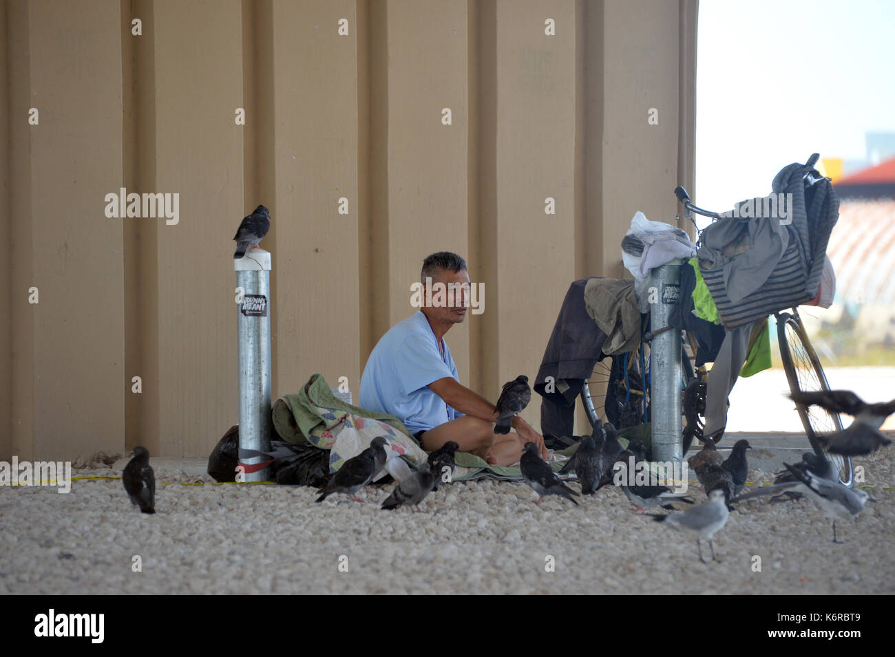 Homeless people under bridge in hi-res stock photography and images - Alamy
