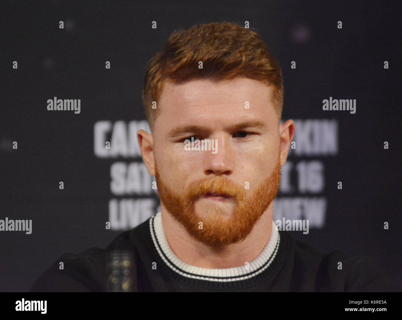 Wbc Ibf Ibo High Resolution Stock Photography and Images - Alamy