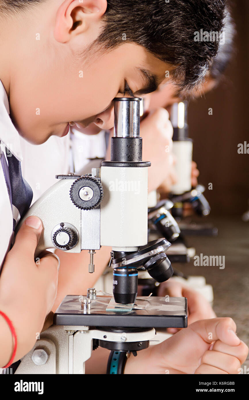 Indian School Student Checking Microscope Science Laboratory Research ...