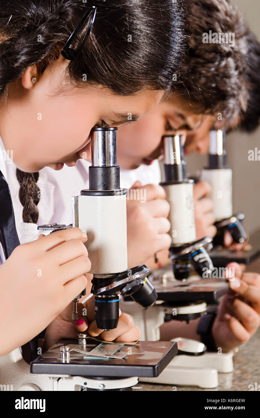 Indian School Students Checking Microscope Science Laboratory Research ...