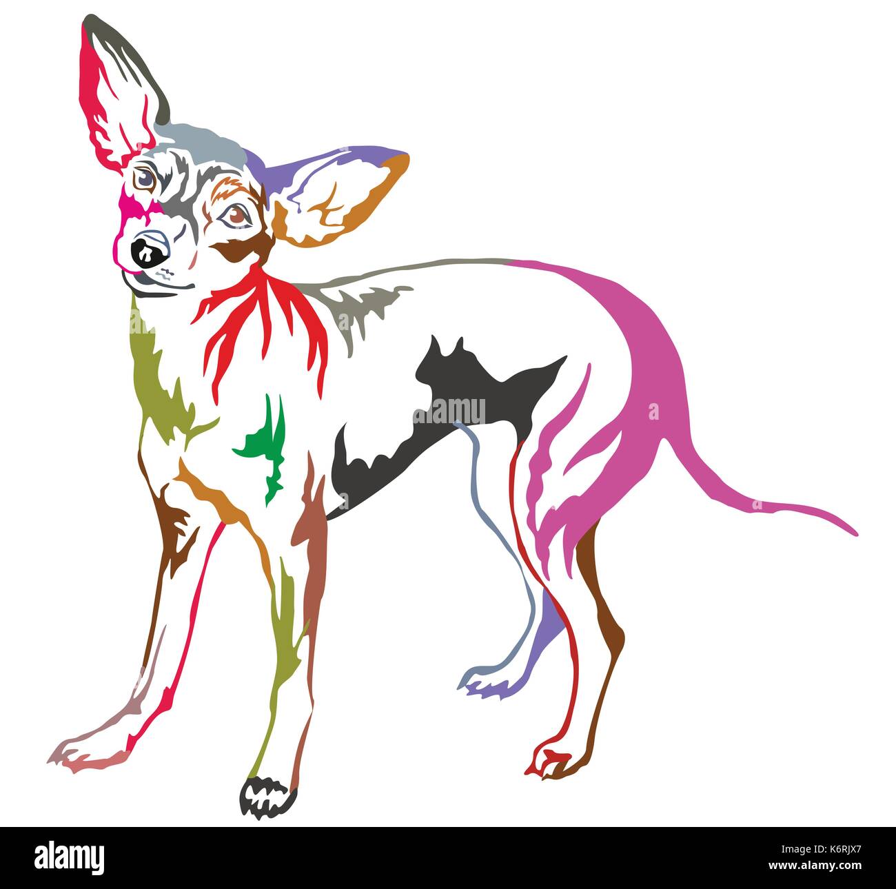 Colorful decorative portrait of standing in profile Prague Ratter ...