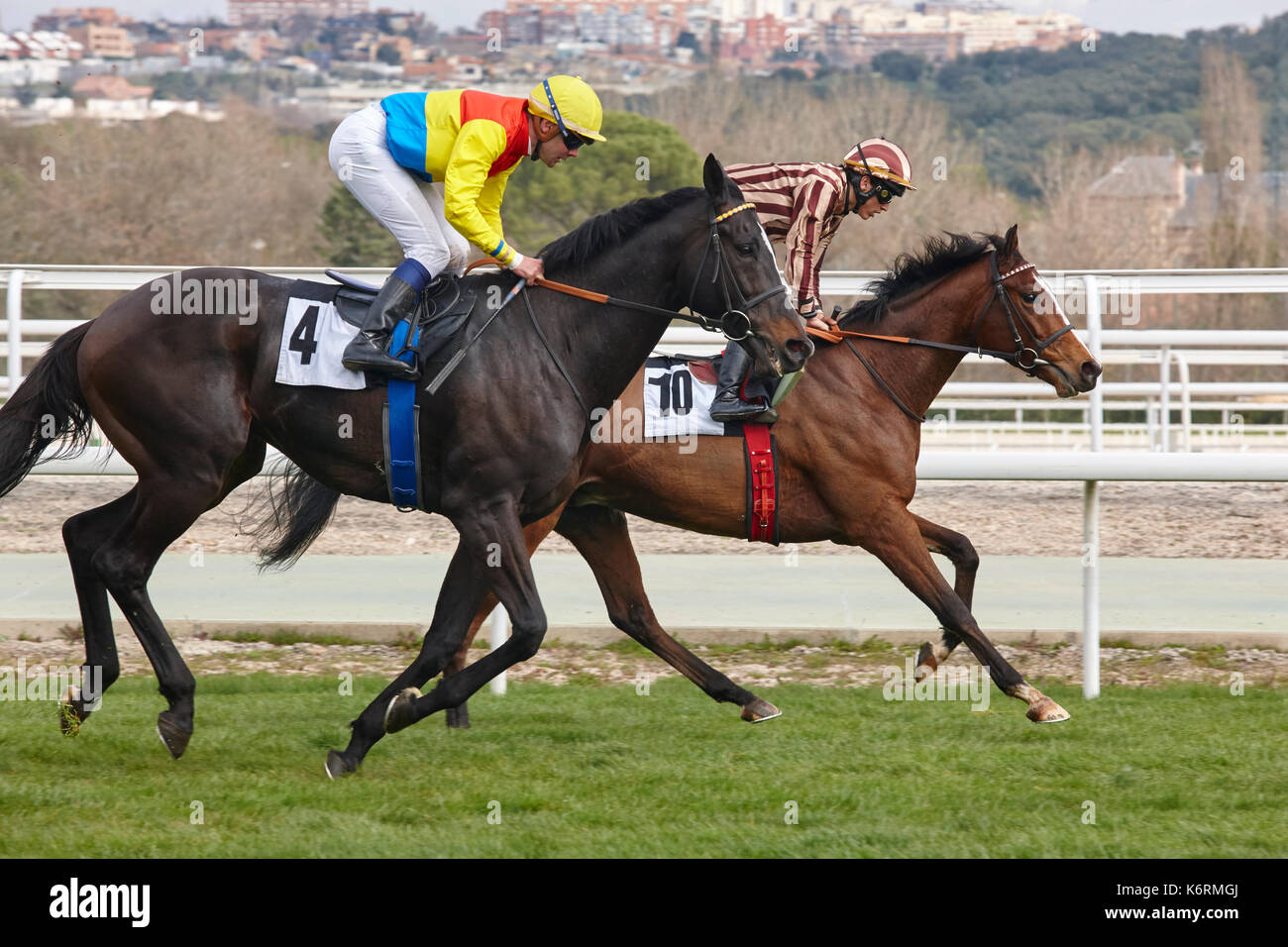 Horse race training. Competition sport. Hippodrome. Speed background ...