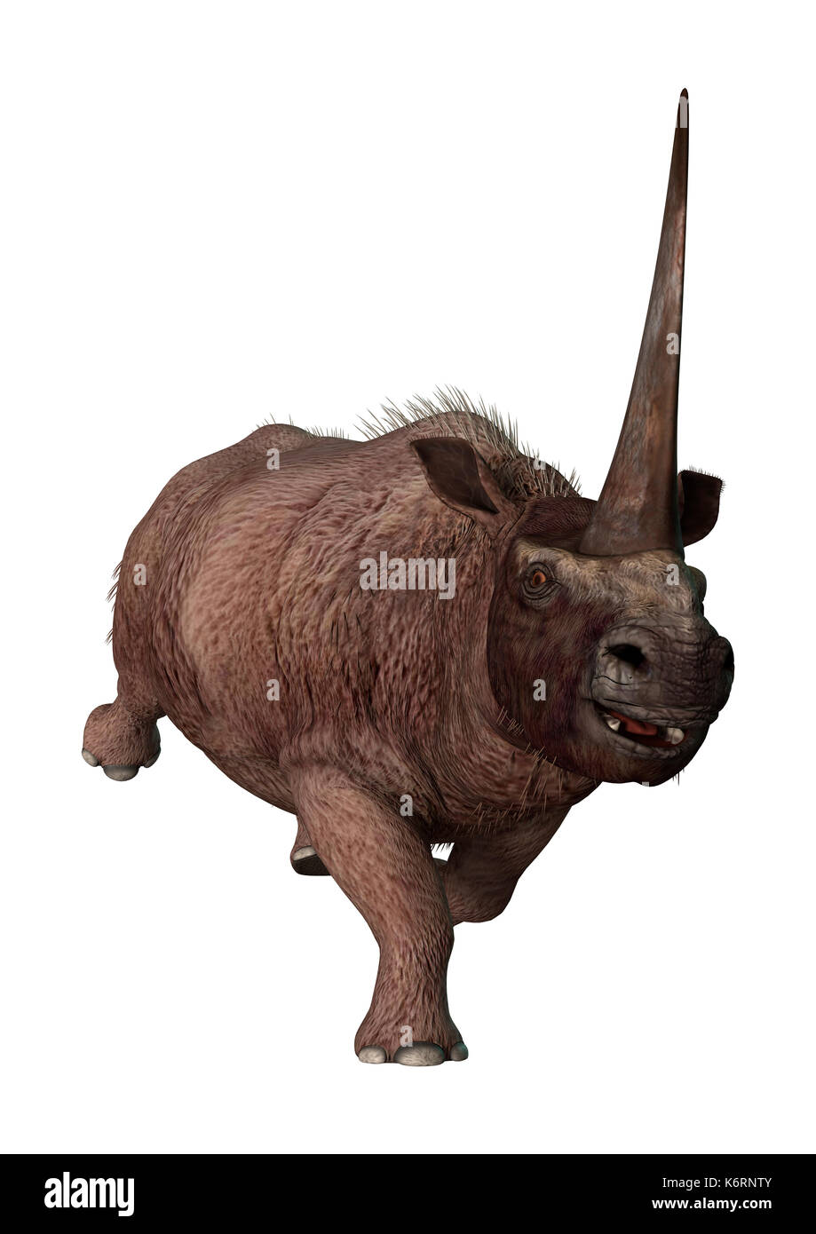 Elasmotherium hi-res stock photography and images - Alamy