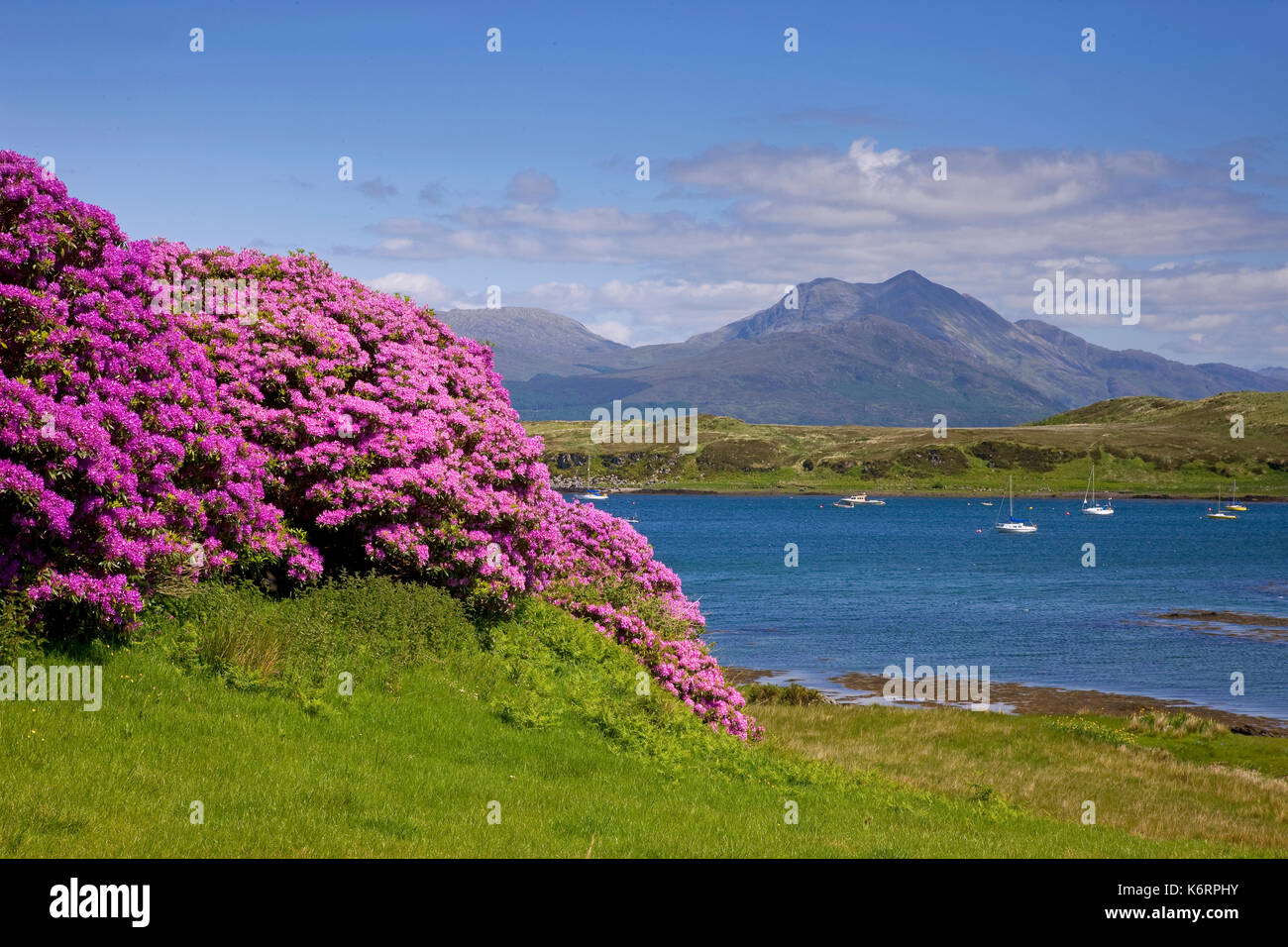 Ornsay hi-res stock photography and images - Alamy