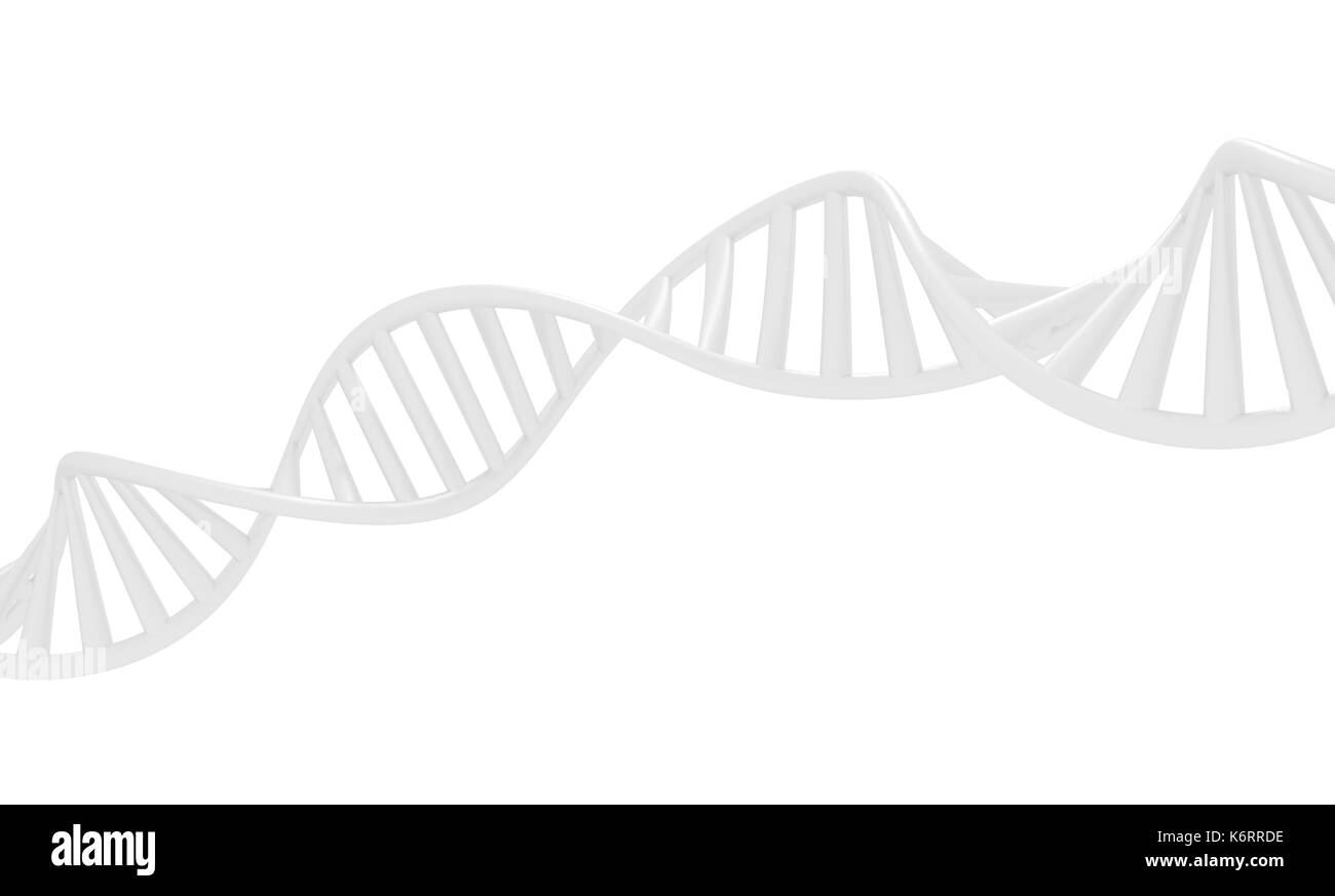 3d Dna Png