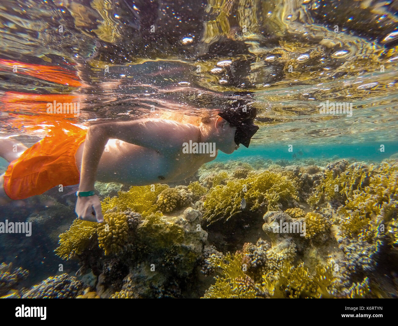 Young boy snorkel swim in underwater exotic tropics paradise with fish ...