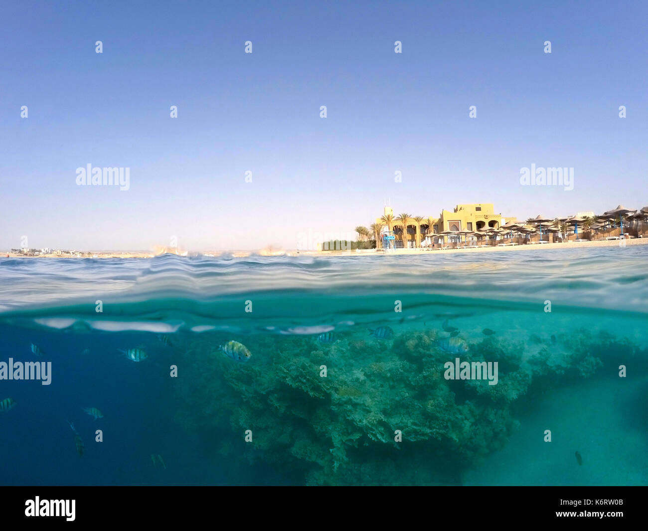 Underwater surface split view in the tropics paradise with fish and ...