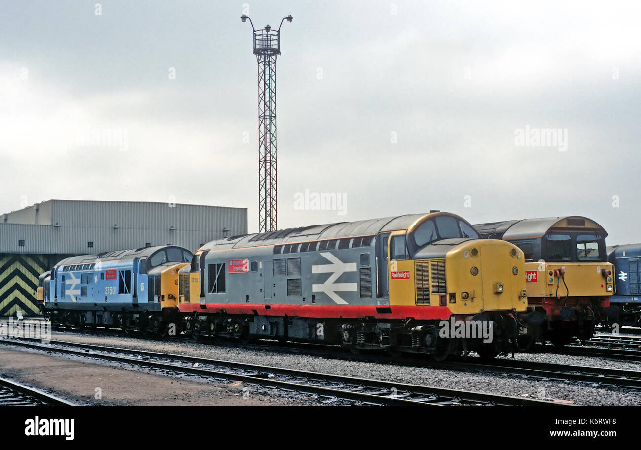Class 37 locomotives stabled at Toton Motive Power Depot in England in ...