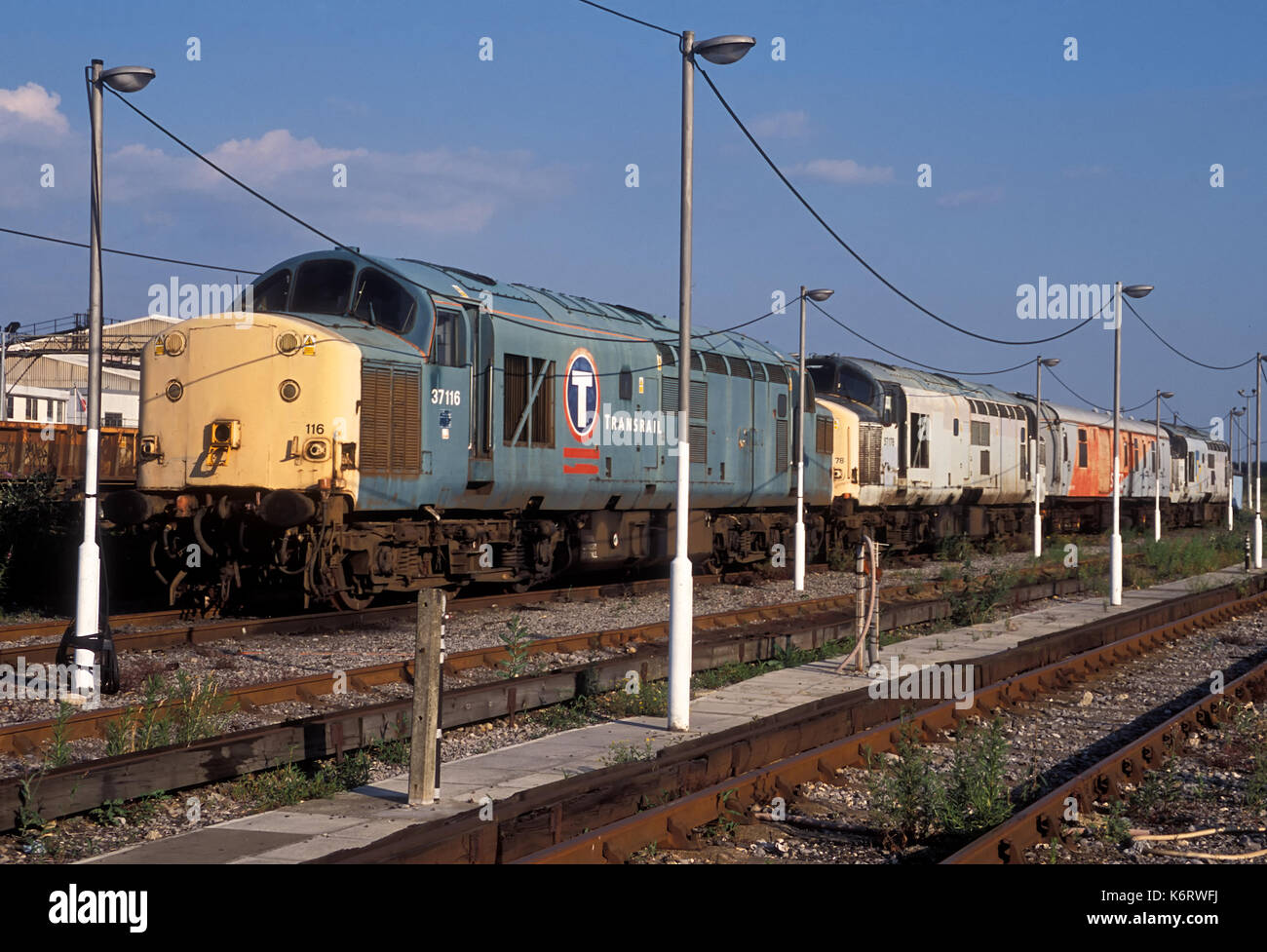 Class 37 locomotives stored at Eastleigh Depot Stock Photo - Alamy