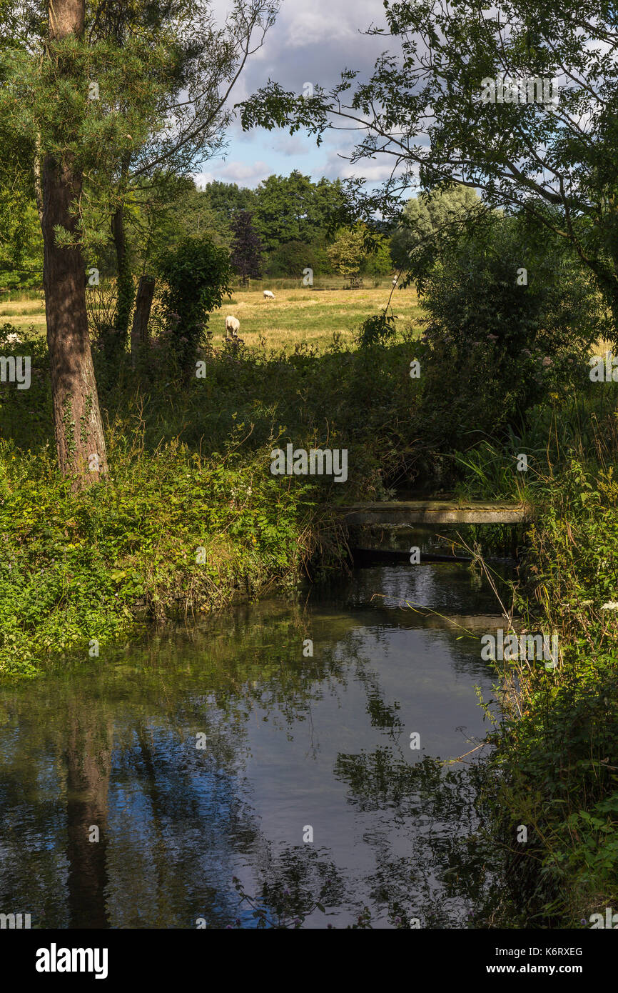 The River Leach at Southrop in Gloucestershire Stock Photo - Alamy