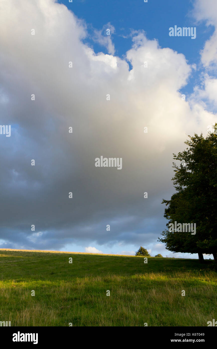Classic English countryside views with blue sky, clouds and green ...