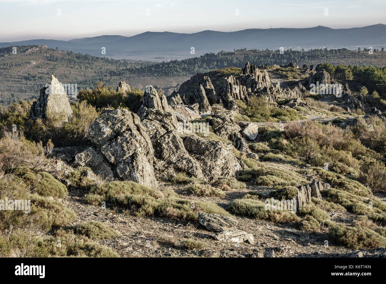 Vertical shot rocks on hi-res stock photography and images - Alamy