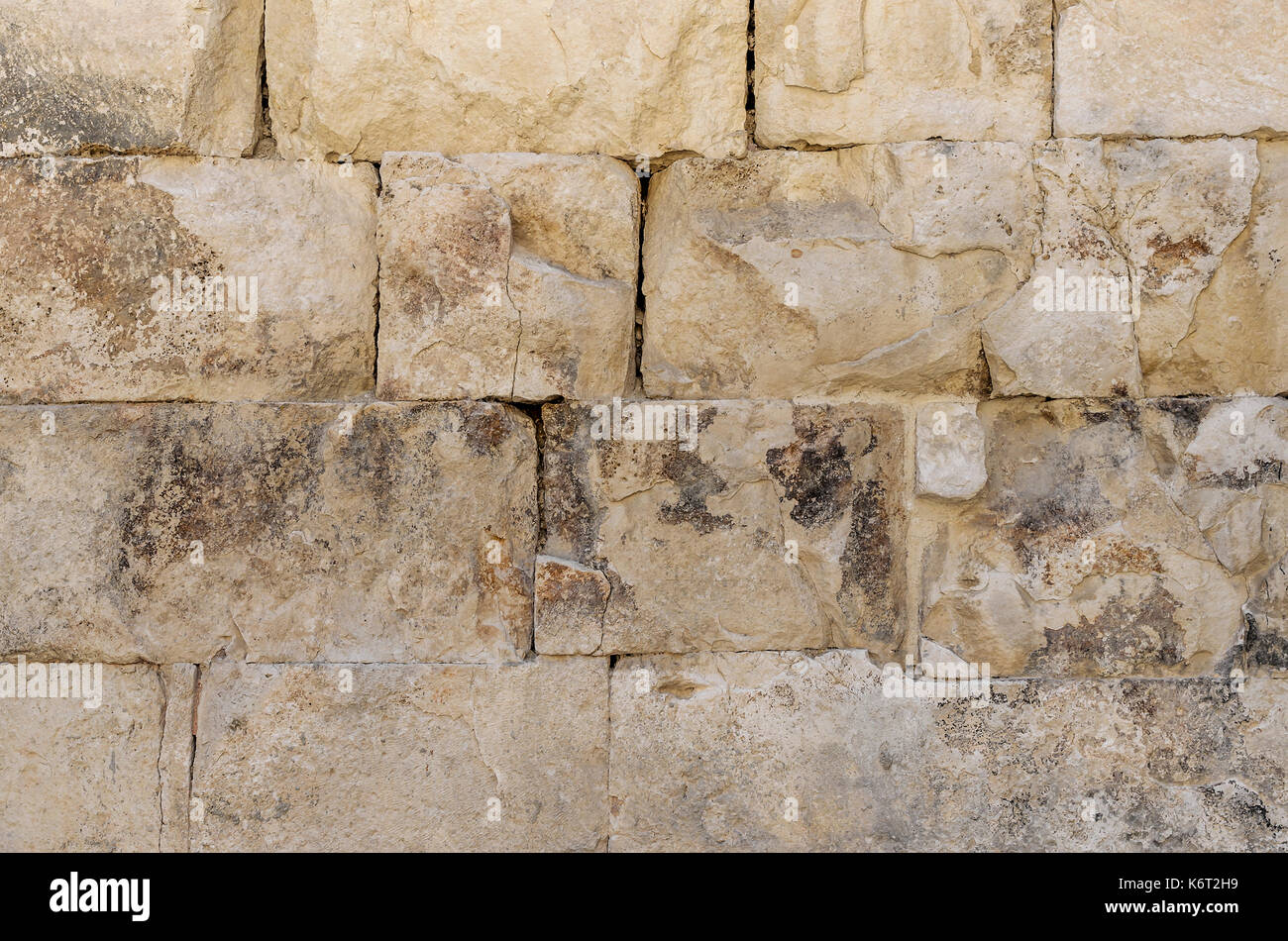 Old abandoned basement in a castle with corridors and labyrinths Stock ...