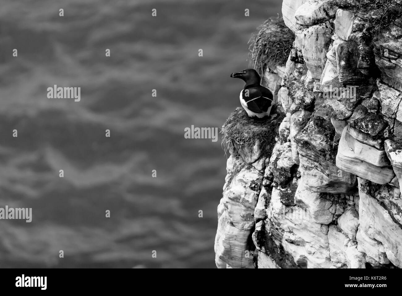 Shear cliffs hi-res stock photography and images - Alamy