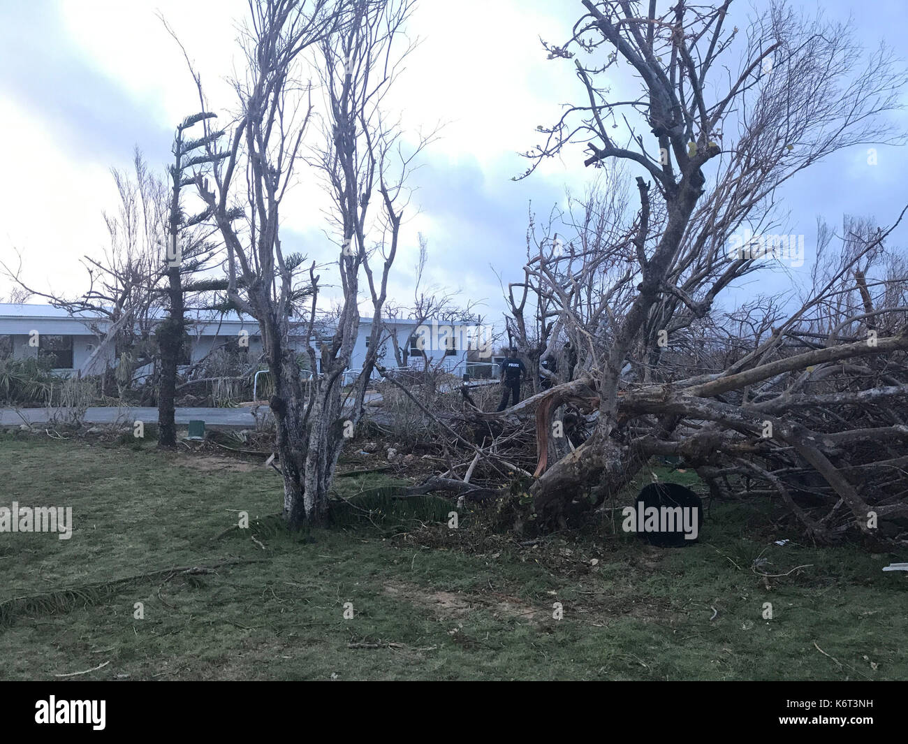 Tim foy hi-res stock photography and images - Alamy