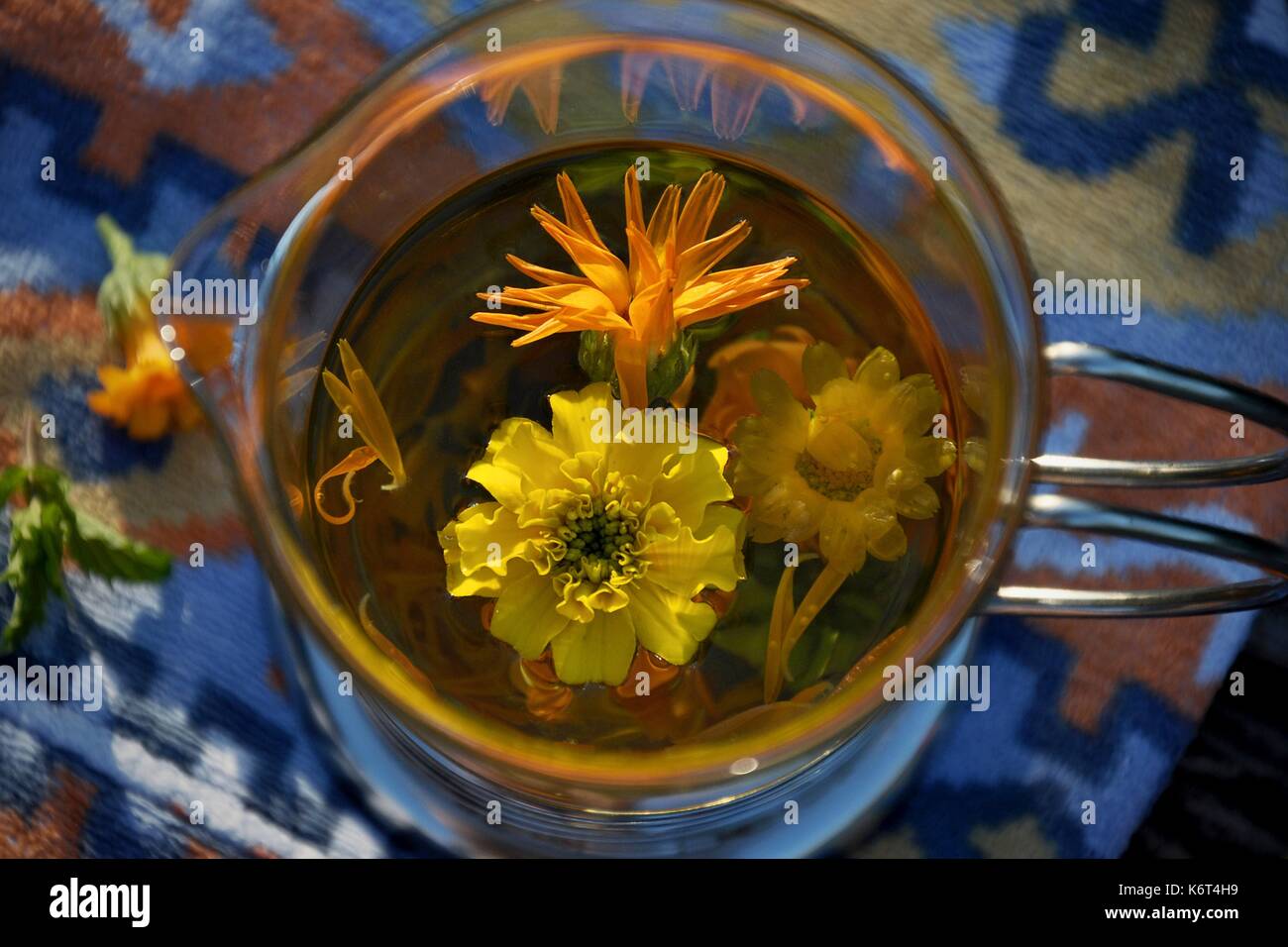 Calendula officinalis tea hi-res stock photography and images - Alamy