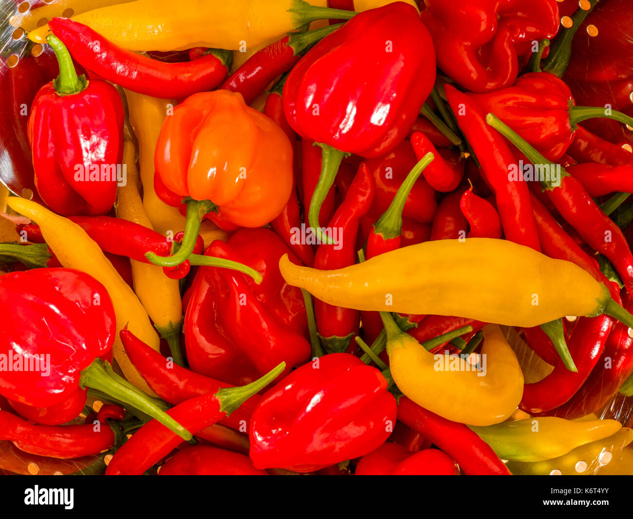 Chillies hi-res stock photography and images - Alamy