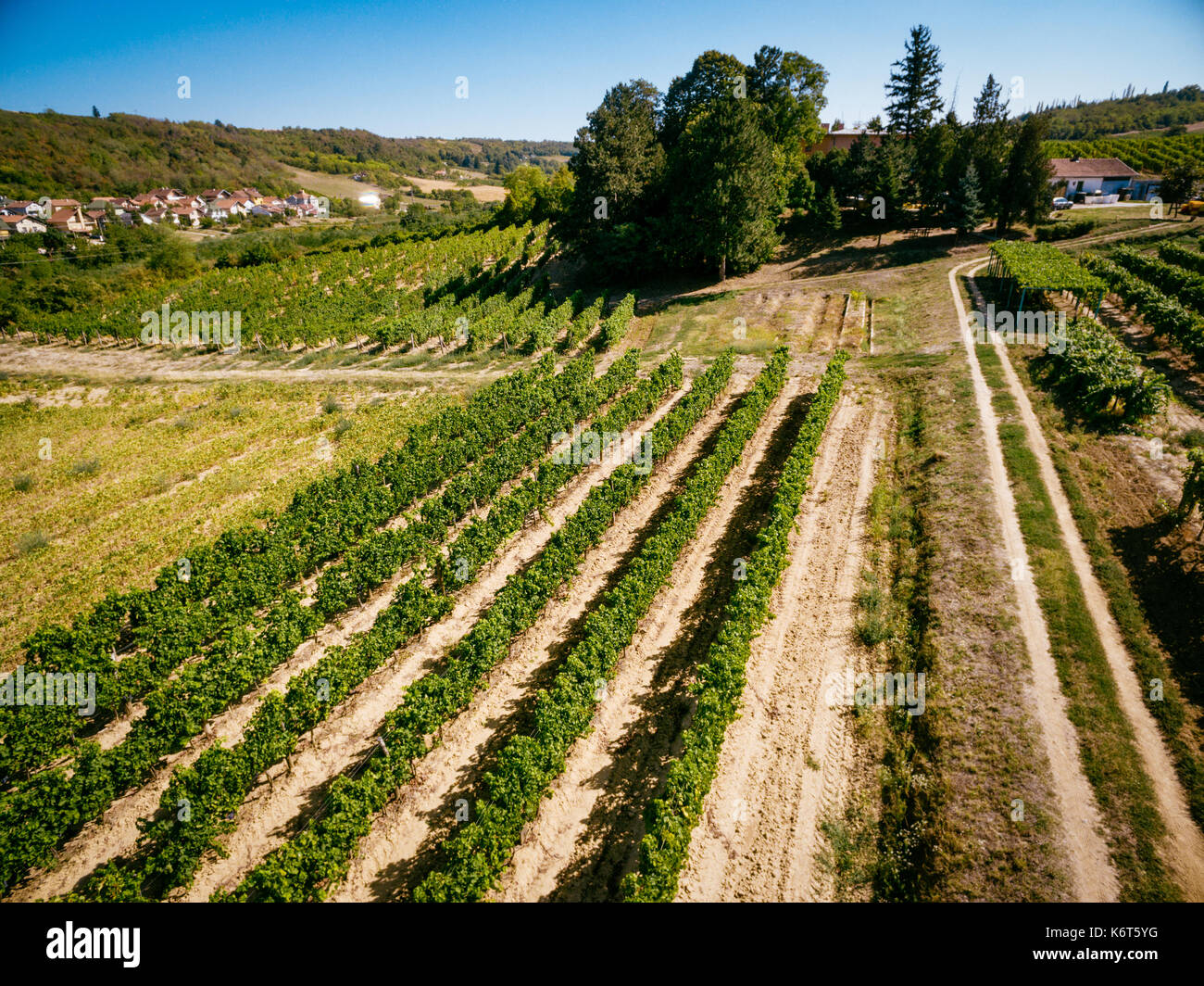 Vineyard landscape view hi-res stock photography and images - Alamy