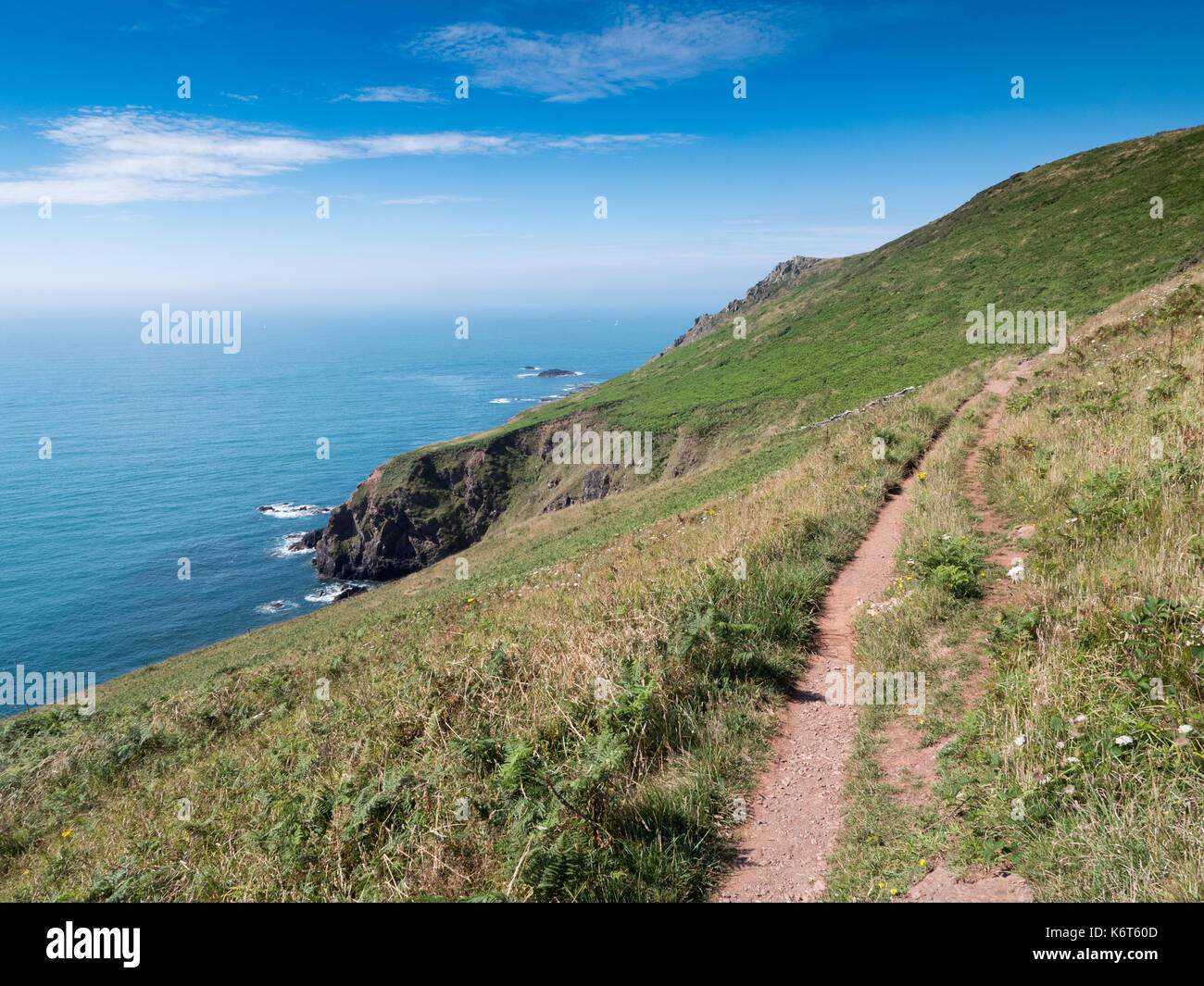 Coastal path near Start Point, Devon, England Stock Photo - Alamy