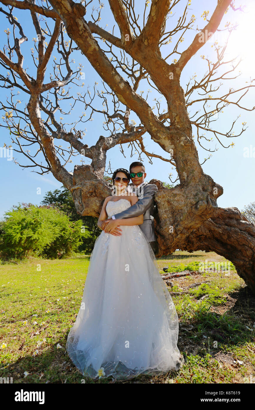photograph of Pre wedding Asian couples Under a tree in a flower garden ...