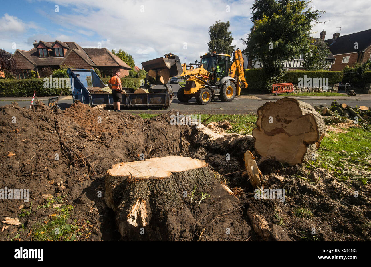 Poppleton hi-res stock photography and images - Alamy