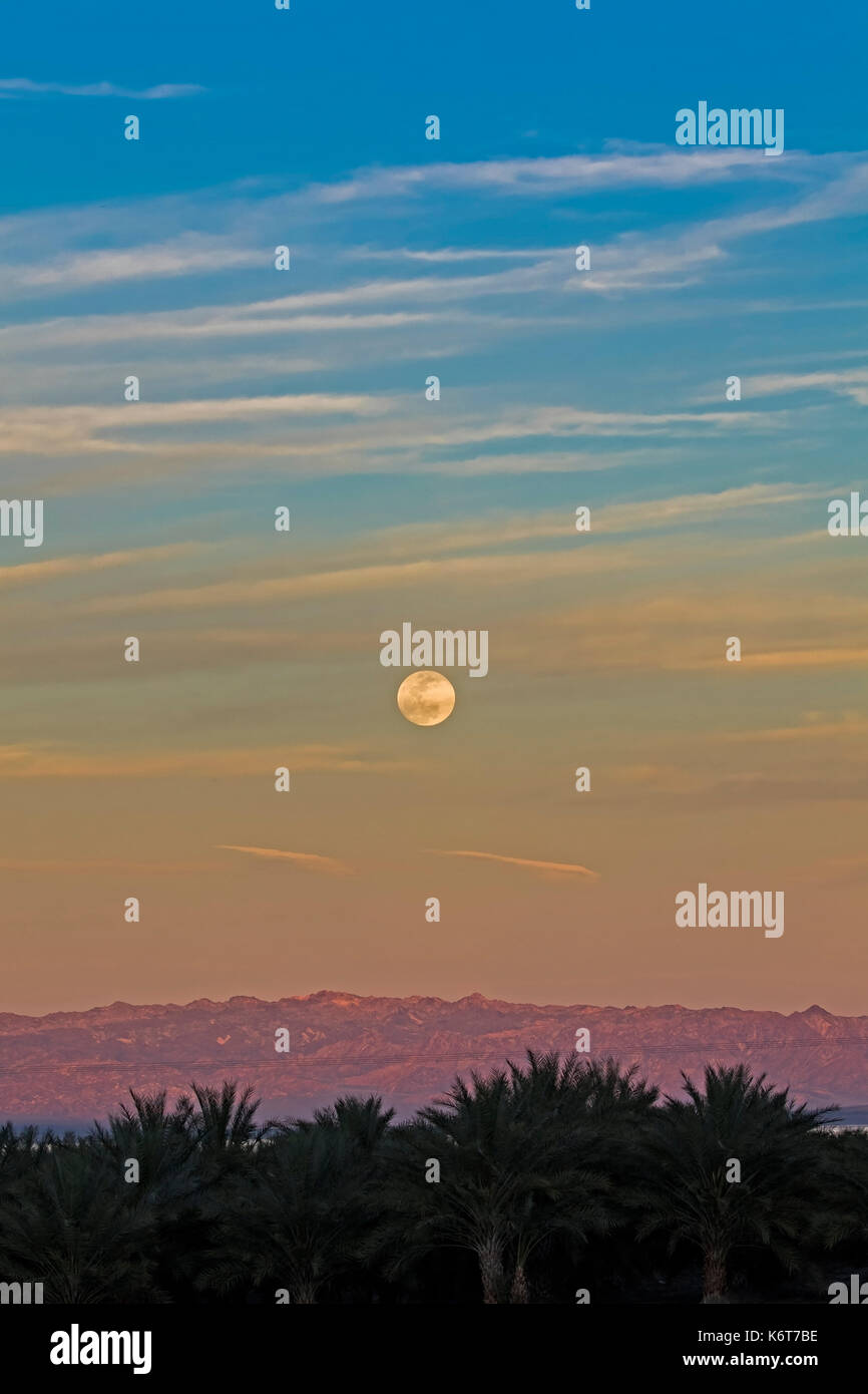 Desert with full moon hi-res stock photography and images - Alamy