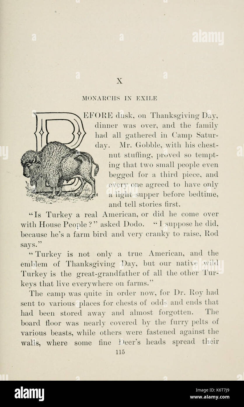 Four footed hi-res stock photography and images - Alamy