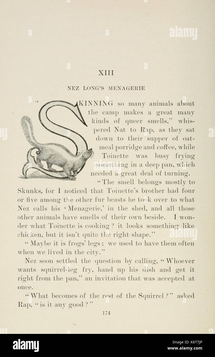 Four footed Americans and their kin BHL9418276 Stock Photo - Alamy