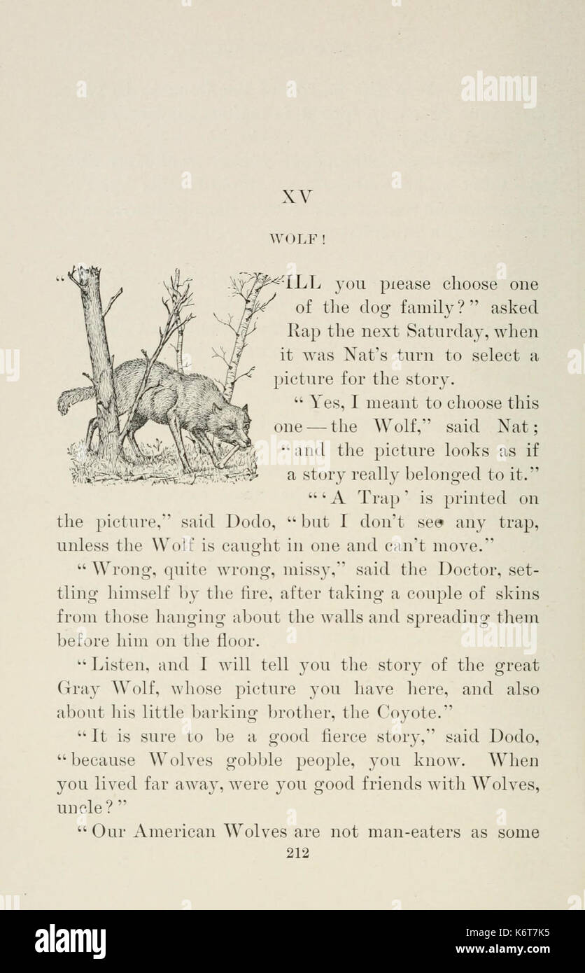 Four footed Americans and their kin BHL9418324 Stock Photo - Alamy