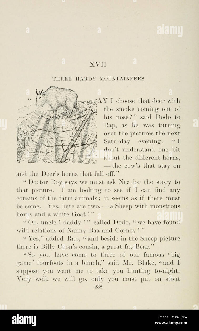 Four footed Americans and their kin BHL9418356 Stock Photo - Alamy