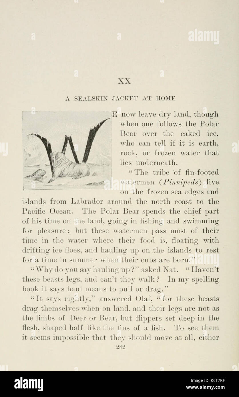 Four footed Americans and their kin BHL9418410 Stock Photo - Alamy