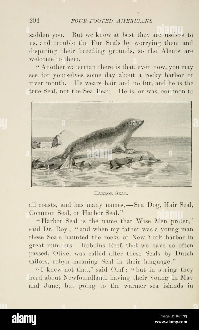 Four footed hi-res stock photography and images - Alamy