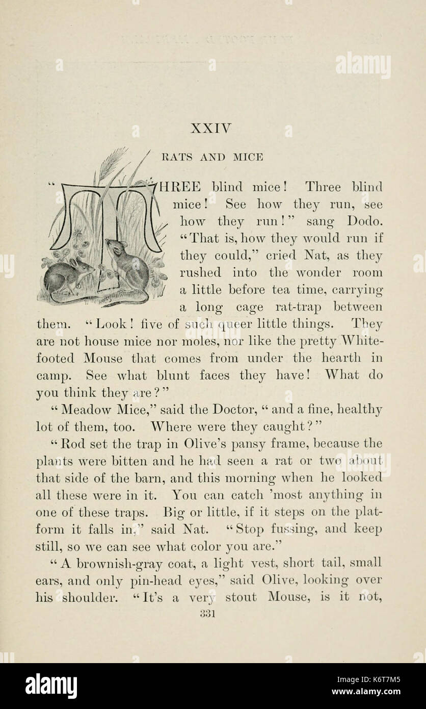 Four footed americans hi-res stock photography and images - Alamy