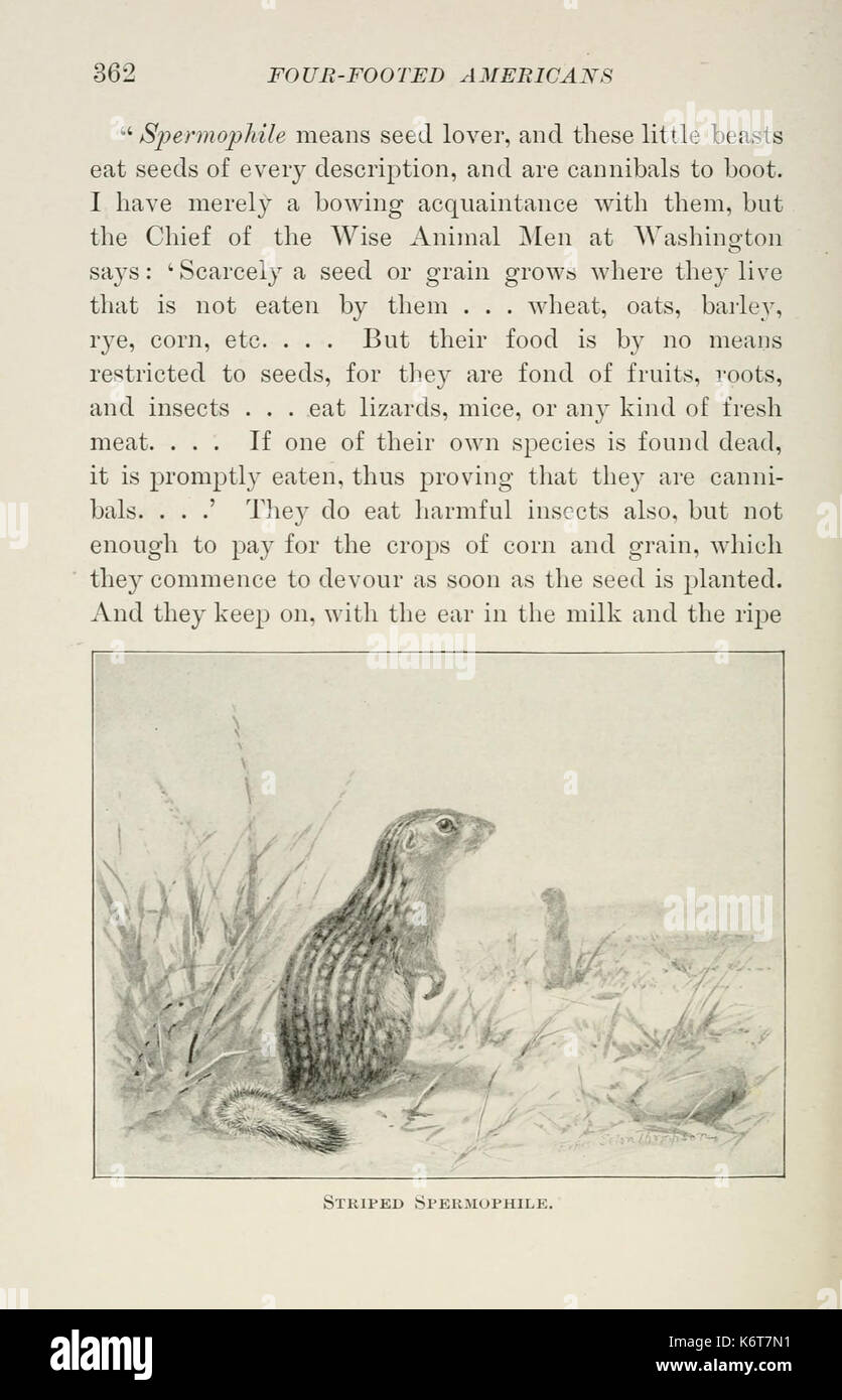 Four footed Americans and their kin BHL9418502 Stock Photo - Alamy